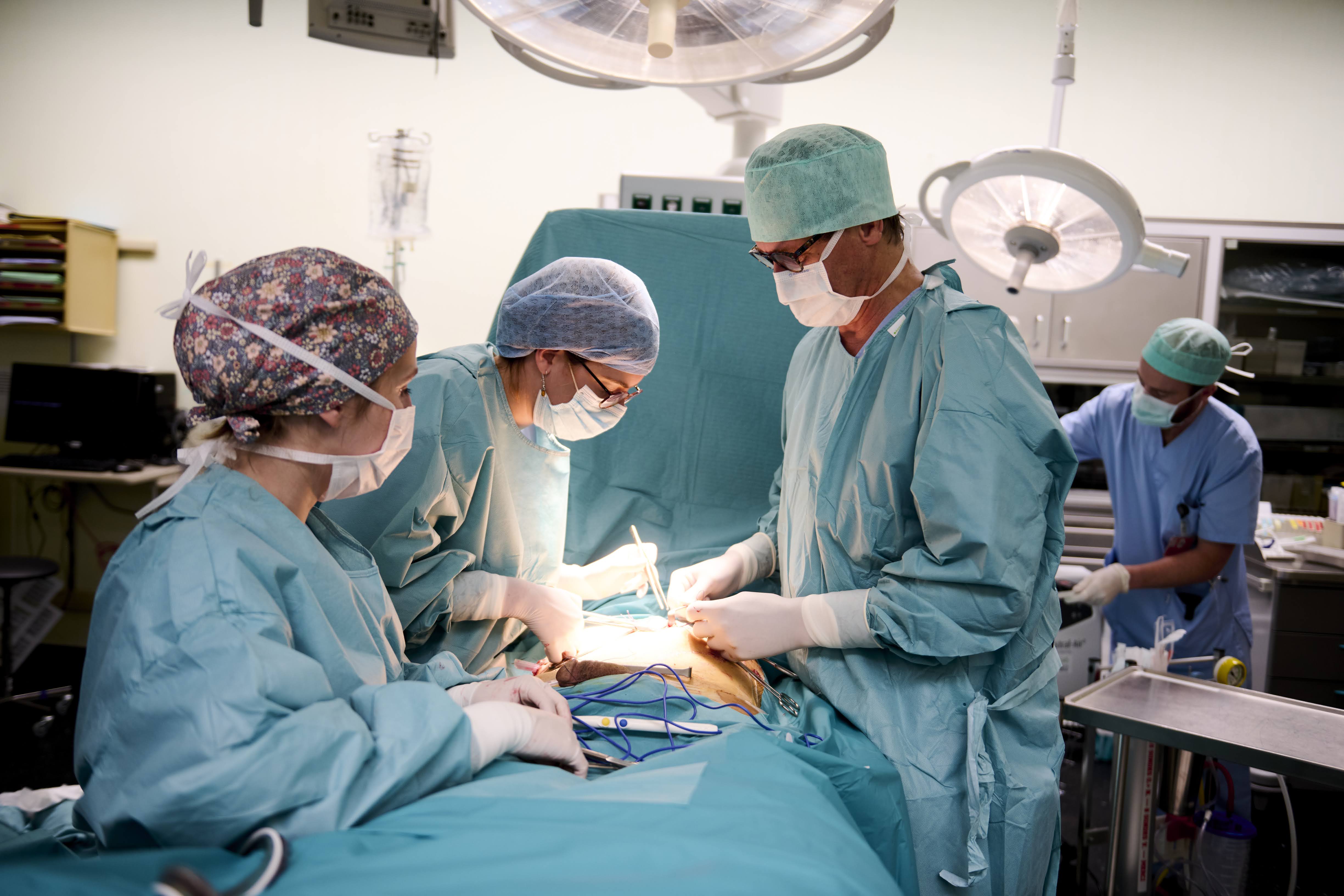 Service d'Urologie | Citadelle